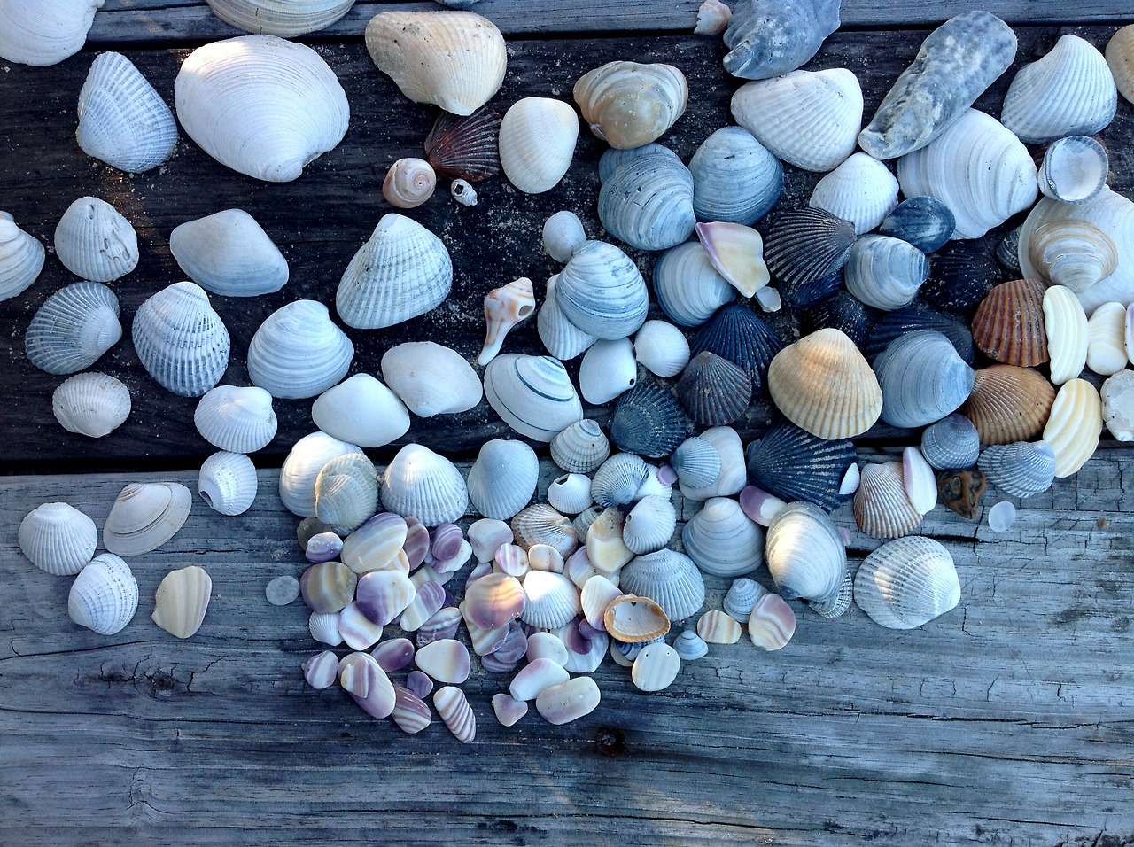 Kitty Hawk | Blue Highway Gallery | Abstract and Impressionist ...